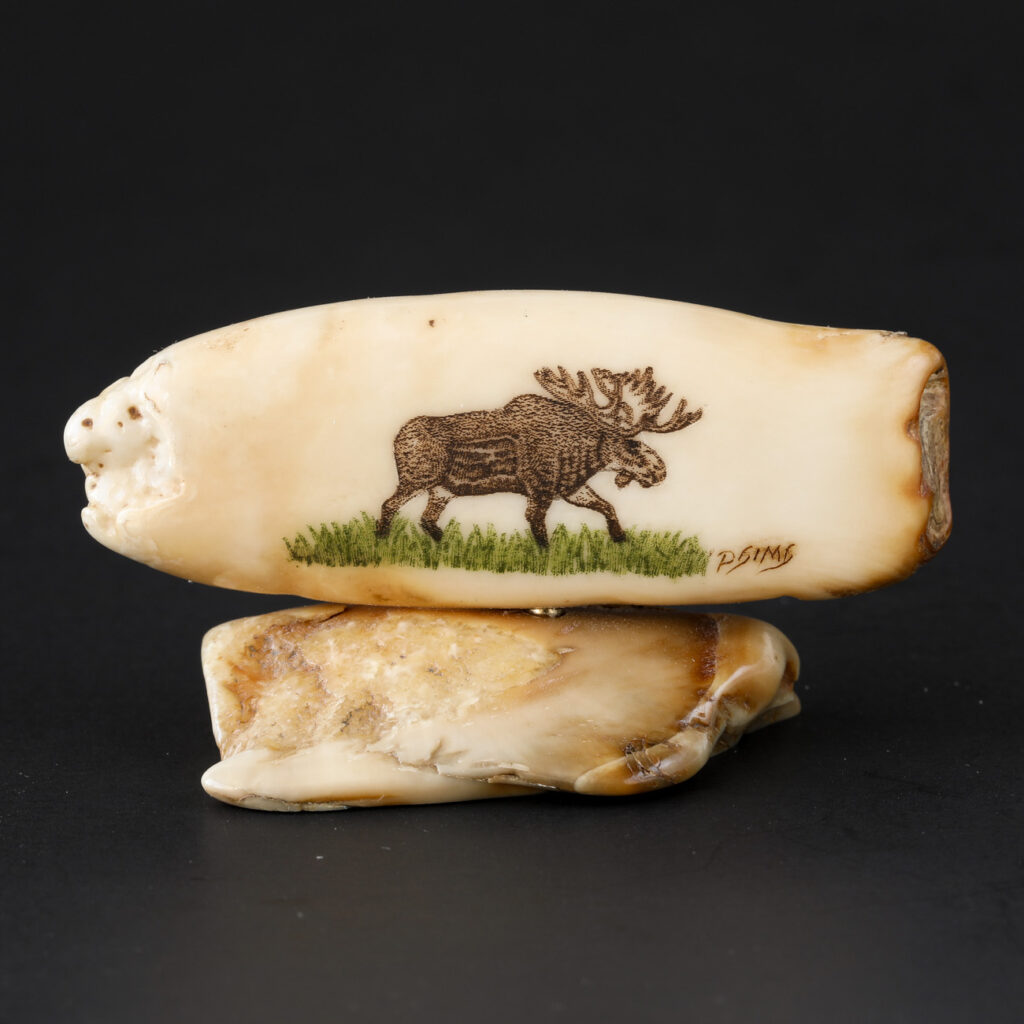 Moose - Walrus Tooth by Dennis Sim - Northwest American Native Arts ...