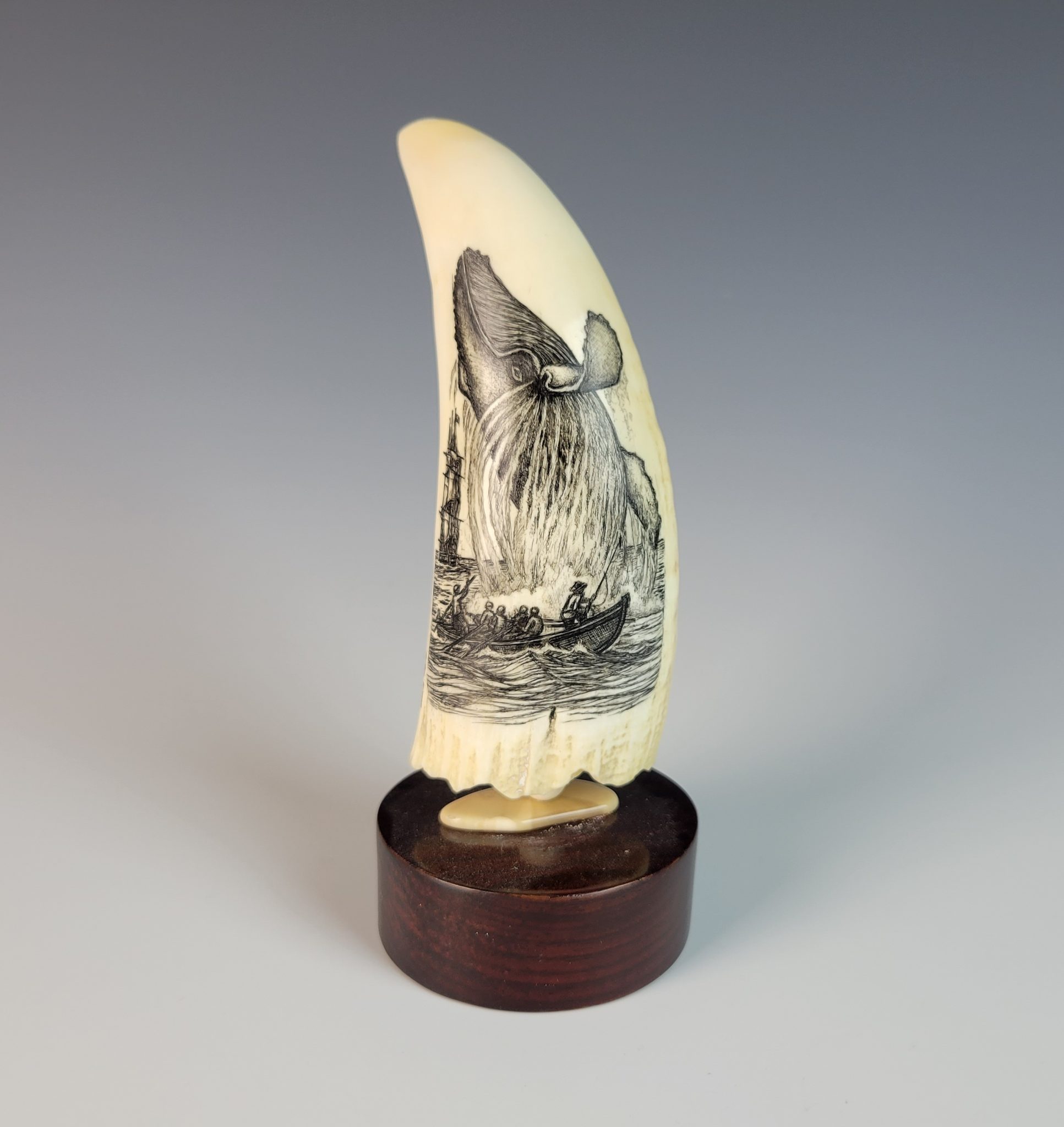 Humpback Whale Scrimshaw by Peter Kinney - Northwest American Native ...