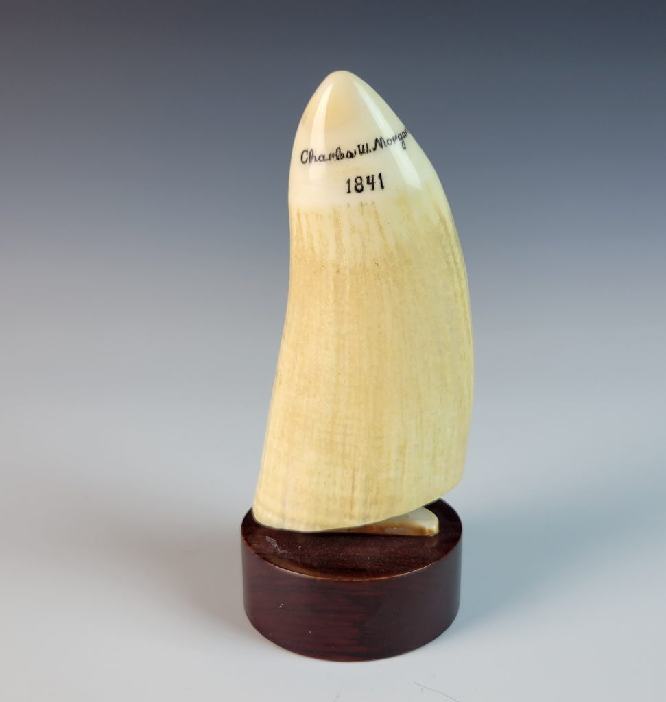Charles W. Morgan Ship Scrimshaw by Peter Kinney - Northwest American ...